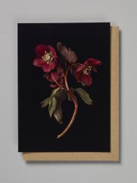 Cards For Any Occasion